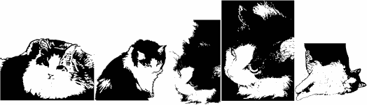 Addie font | Fonts2u.com