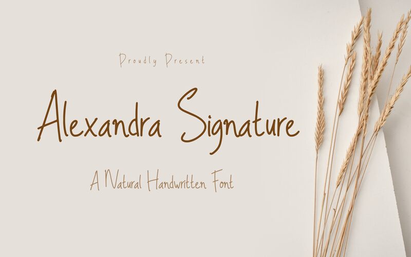 Alexandra Signature Regular font | Fonts2u.com