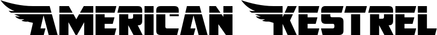 American Kestrel Straight Exp font | Fonts2u.com