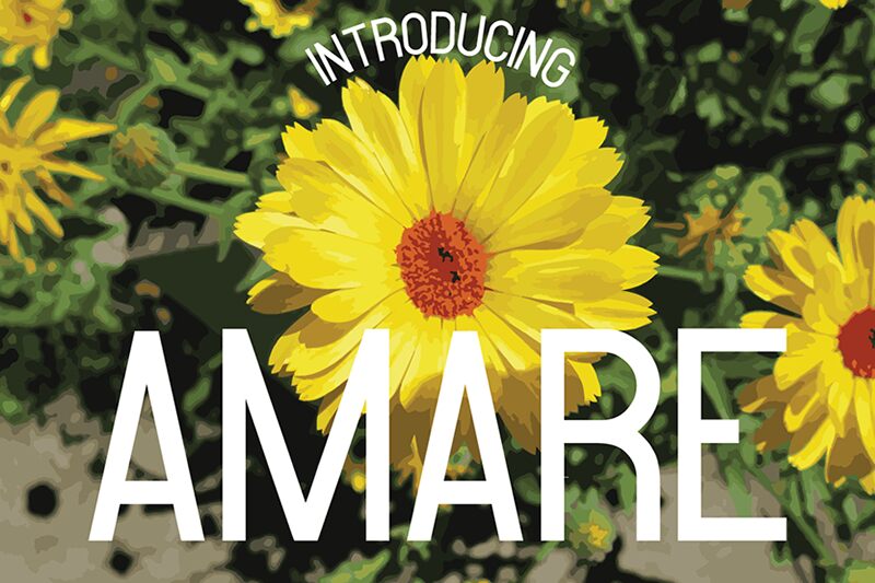 Amare font | Fonts2u.com