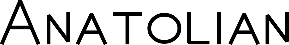 Anatolian font | Fonts2u.com