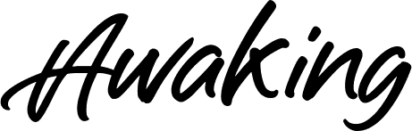 Awaking font | Fonts2u.com