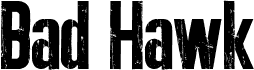 Bad Hawk Demo font | Fonts2u.com
