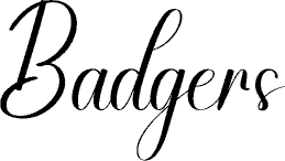 Badgers font | Fonts2u.com