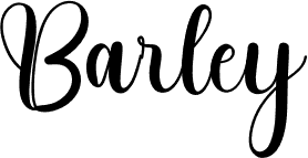 Barley font | Fonts2u.com
