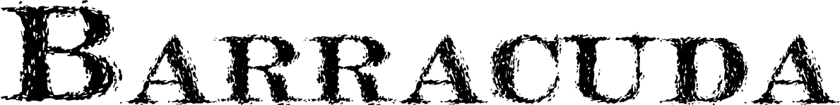 Barracuda font | Fonts2u.com