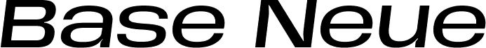 Base Neue Condensed font | Fonts2u.com