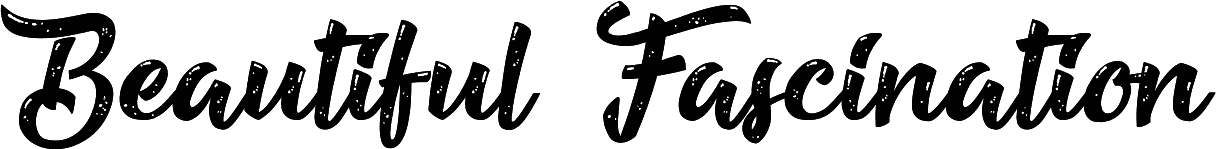 Beautiful Fascination font | Fonts2u.com
