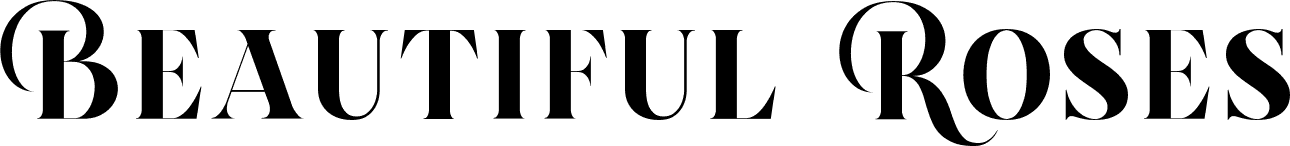 Beautiful Roses font | Fonts2u.com