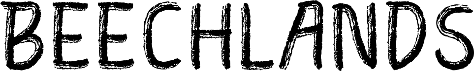 Beechlands Demo font | Fonts2u.com