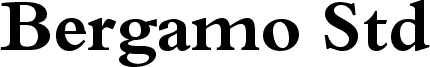 BergamoStd-BoldItalic font