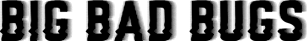 Big Bad Bugs font | Fonts2u.com