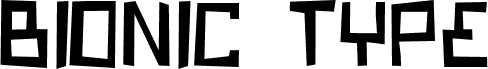 Bionic Type Bold font