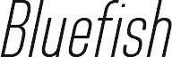 Bluefish Demo font