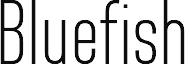 Bluefish Demo font