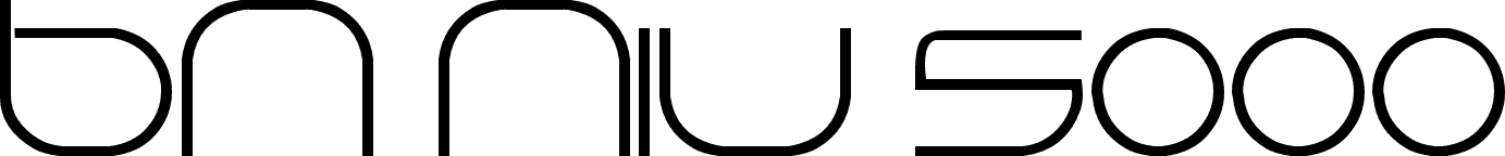 BN Niv 5000 font | Fonts2u.com