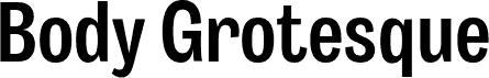 Body Grotesque Large Trial Bold font