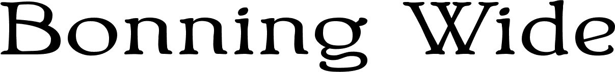 Bonning Wide Expanded Bold font | Fonts2u.com