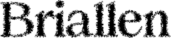 Briallen Unfocus Demo Regular font | Fonts2u.com