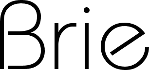 Brie Light font | Fonts2u.com