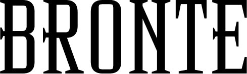 Bronte Regular font | Fonts2u.com