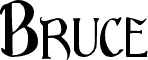 Bruce Scaled font | Fonts2u.com
