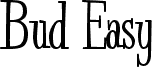 Bud Easy Normal font | Fonts2u.com