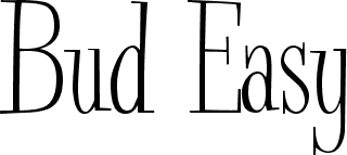 Bud Easy Normal font | Fonts2u.com