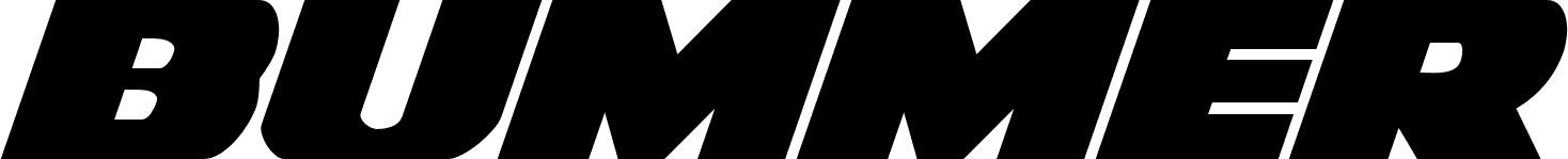 Bummer Italic font | Fonts2u.com