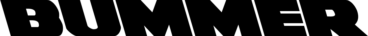 Bummer Leftalic font | Fonts2u.com