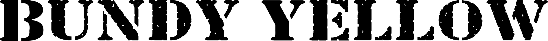 Bundy Yellow Solid fonte | Fonts2u.com