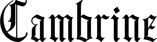 Cambrine Regular Demo font | Fonts2u.com