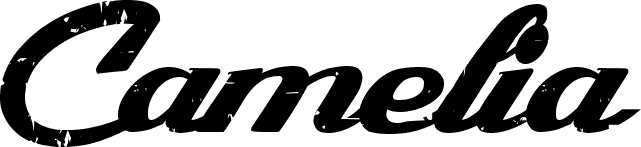 Camélia font | Fonts2u.com