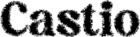 Castio Unfocus Demo Regular font | Fonts2u.com