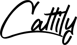 Cattily Demo font | Fonts2u.com