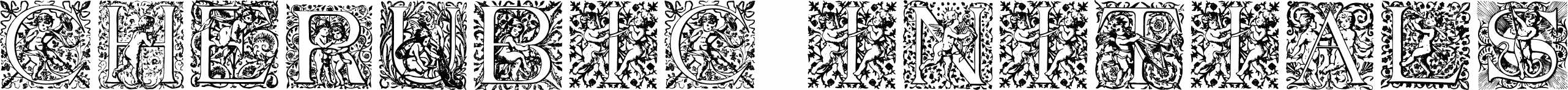 CherubicInitials font | Fonts2u.com