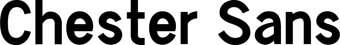 Chester Sans Bold font | Fonts2u.com