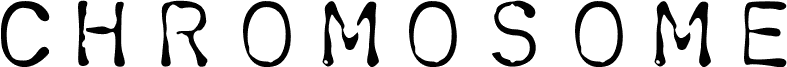 ChromosomeHeavy font | Fonts2u.com