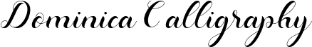 Dominica Calligraphy Outline font | Fonts2u.com