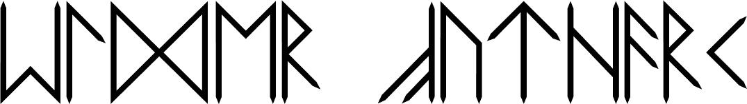 Elder Futhark font | Fonts2u.com