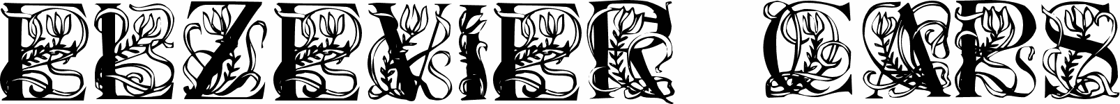 Elzevier Caps Regular font | Fonts2u.com