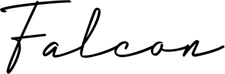 Falcon font | Fonts2u.com