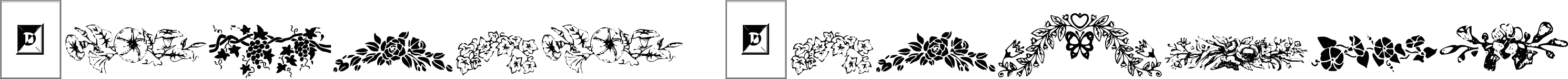 Floral Garnish font | Fonts2u.com