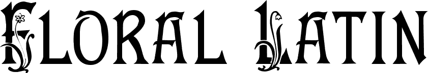 Floral Latin Normal fonte | Fonts2u.com
