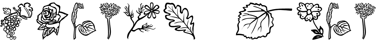 Flower Show font | Fonts2u.com