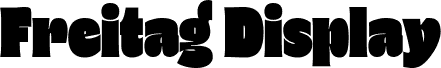 Freitag Display Trial M Italic font