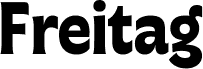 Freitag Trial Bold Italic font