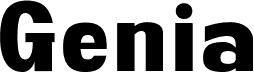 Genia personal use Thin font | Fonts2u.com
