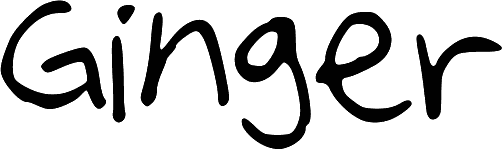 Ginger font | Fonts2u.com