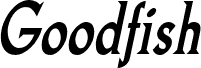 Goodfish Bold Italic font | Fonts2u.com